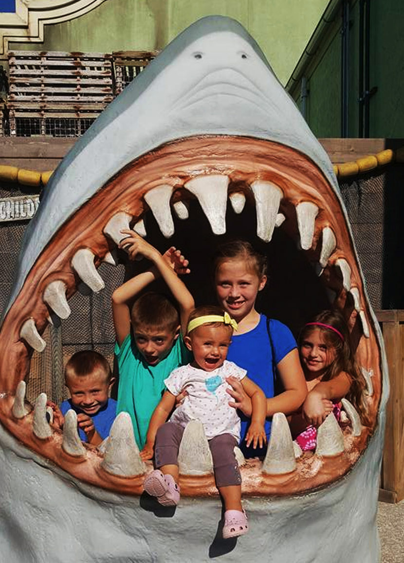 Shark Photo Op - Steve Perry Creations